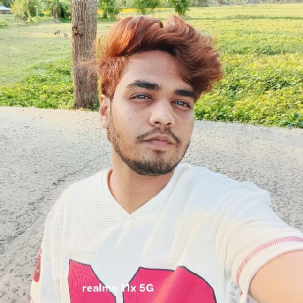 Ariful Islam Molla - Drawing And Craft teacher with 9 years of ...