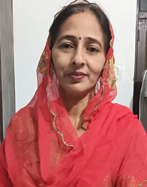 Veerpal K. - Trainer & Teacher in Gurgaon HO, Gurgaon for Class 12 Tuition