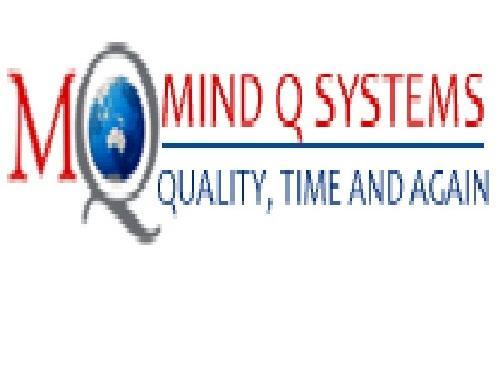 Mind Q Systems in S R Nagar, Hyderabad