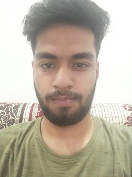 Anshul - UPSC ASPIRANT with 2 years of teaching in maths, science and ...